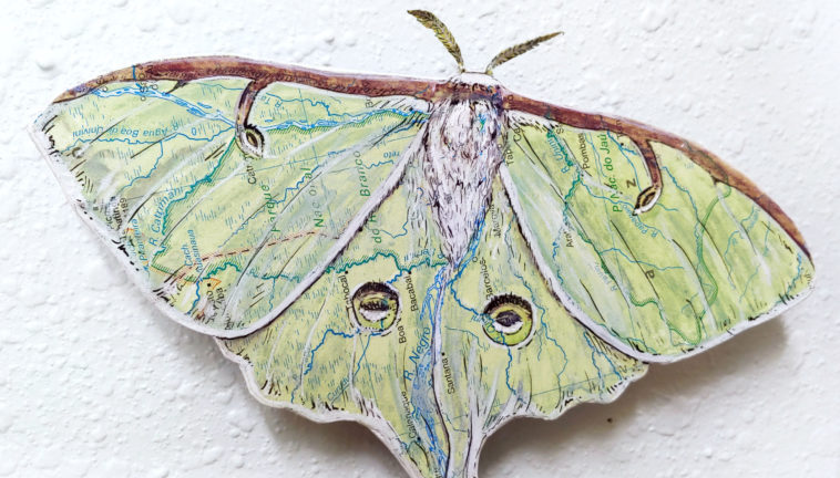 Quaker Artist: Joey Hartmann-Dow · Philadelphia Yearly Meeting